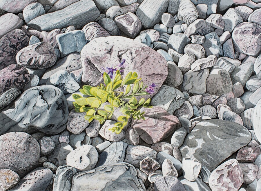 Stephen Emms Art Collection