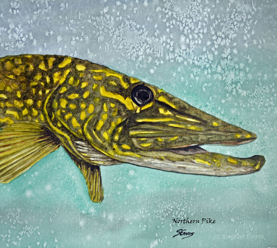 Stephen Emms Art Collection