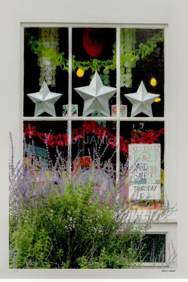 BIWINDOW by JANIce Wall Art