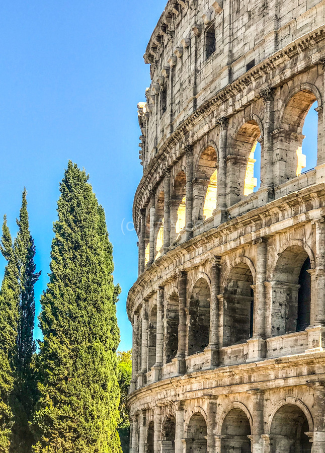 Rome VI by JANIce Wall Art