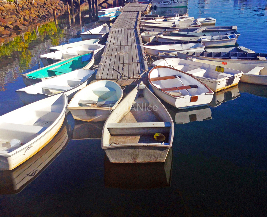 Row Boats by JANIce Wall Art