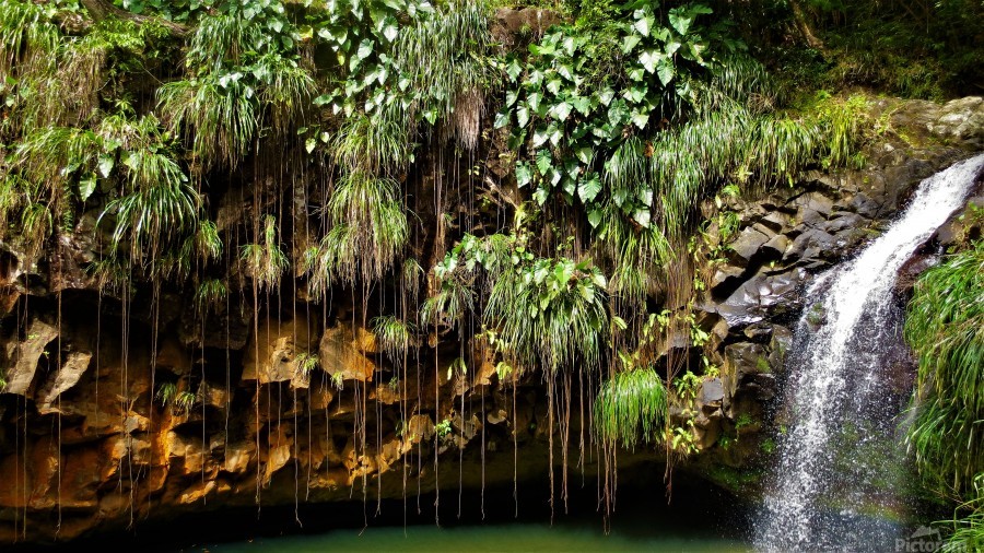 Falling Nature Captured...! by Hammad Wall Art