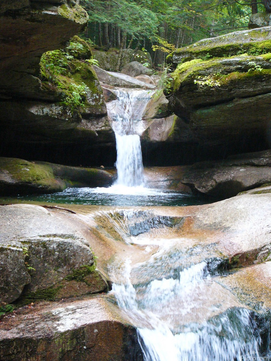 The Pool by Lisa Bates Wall Art