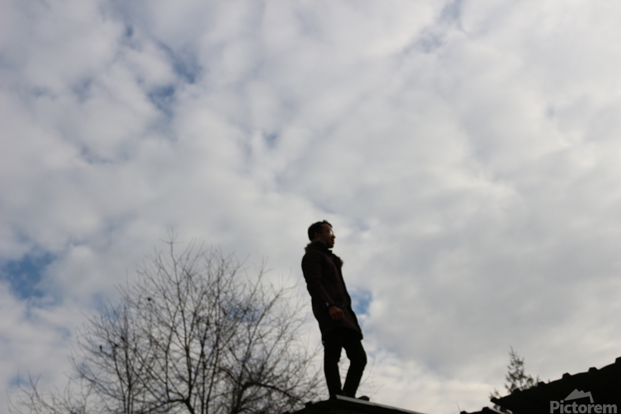 IMG 8829 by NES Wall Art