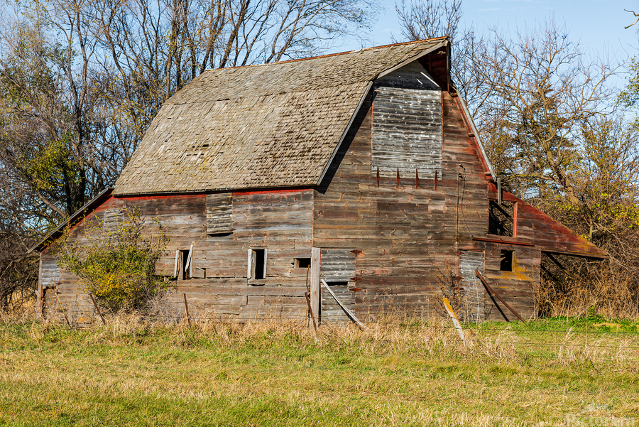 Gradually Losing The Battle With Nature by Garald Horst Wall Art