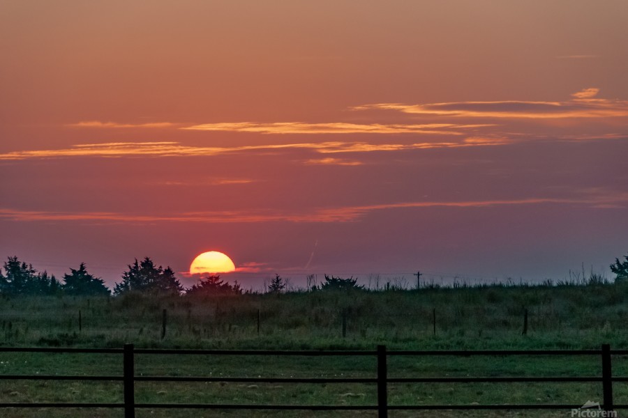 Magenta Sunrise by Garald Horst Wall Art