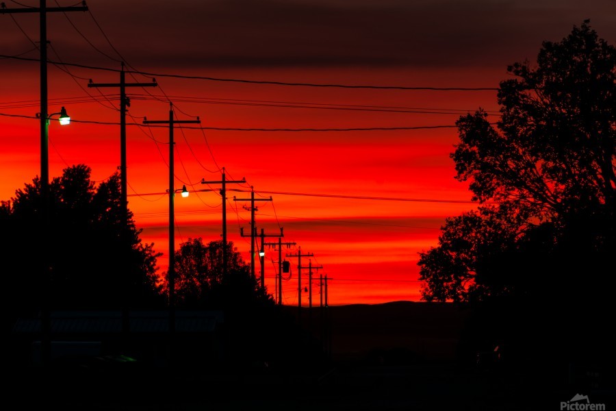 Wire Span Sunset by Garald Horst Wall Art