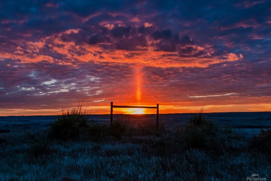 Scotty Beaming Kirk Up by Garald Horst Wall Art