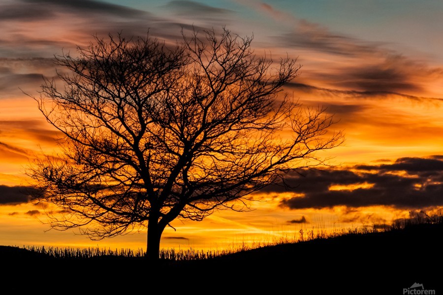 Sunset Backdrop by Garald Horst Wall Art