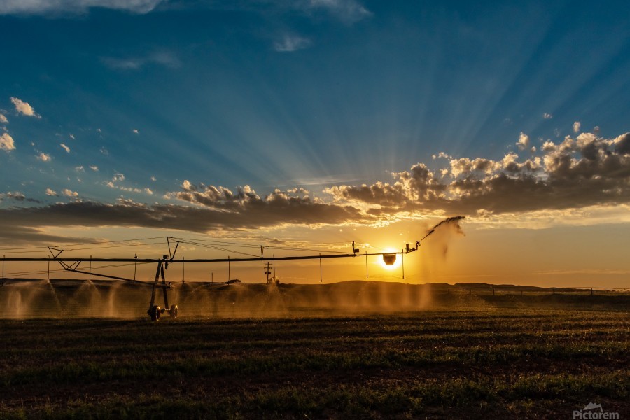 Sunset Irrigation Backlight by Garald Horst Wall Art