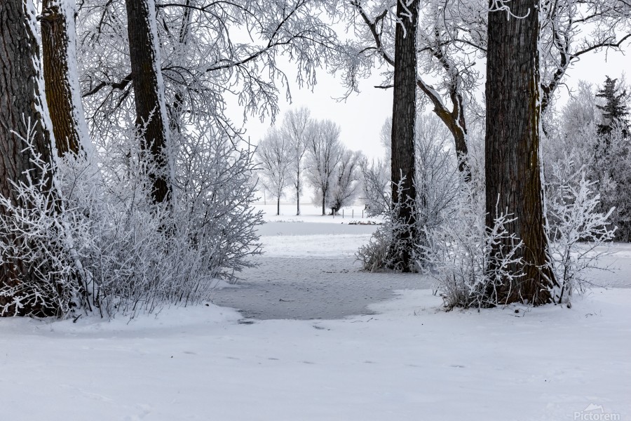 Distant Perspective by Garald Horst Wall Art