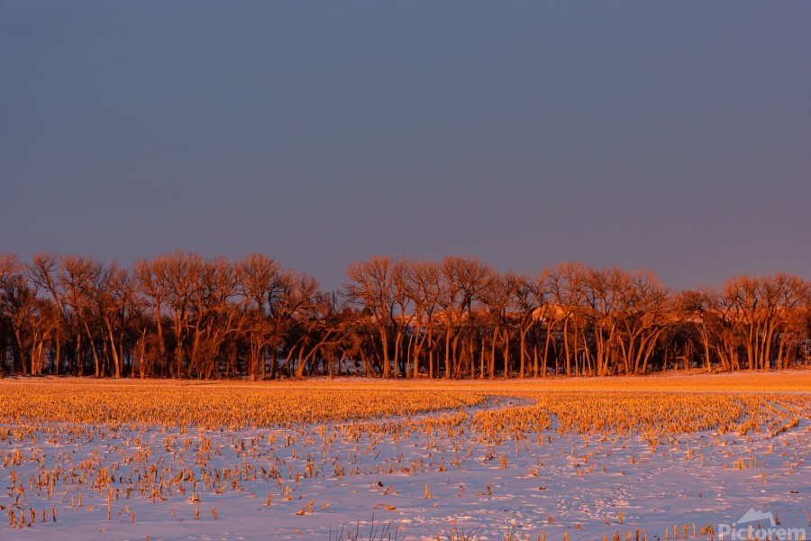 Color Shift Sunset by Garald Horst Wall Art