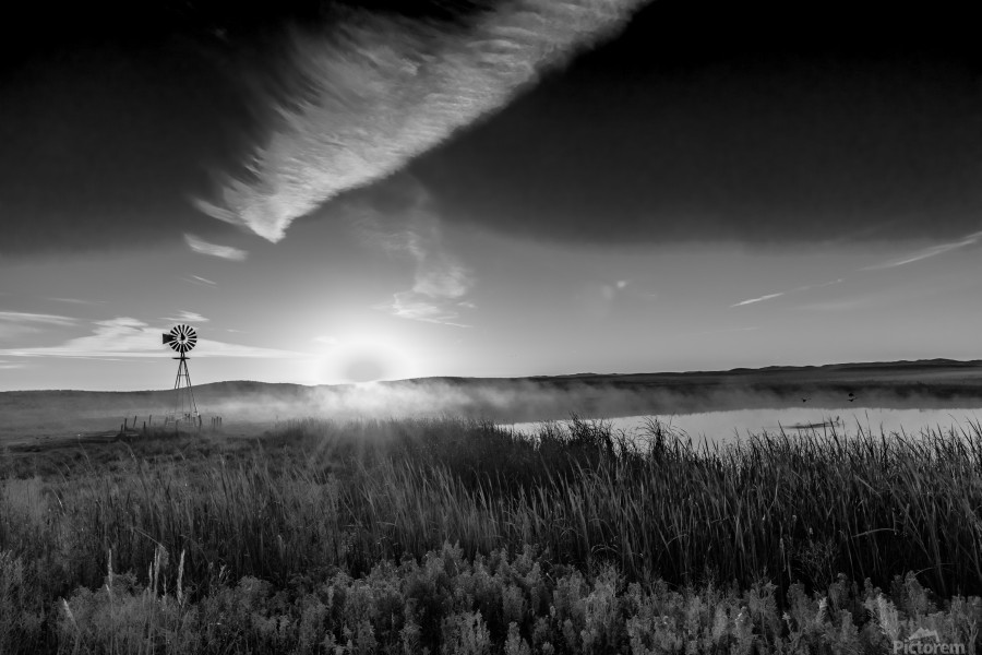 Sunrise Fog in the Sandhills BW by Garald Horst Wall Art