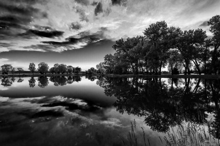 Few Water Ripples BW by Garald Horst Wall Art
