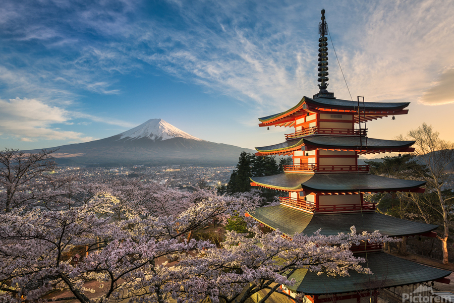 Mount Fuji with cherry blossoms in Japan by Michael Abid Wall Art