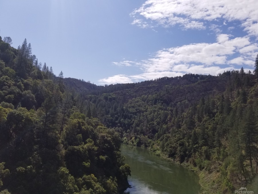 Reflection of Green by Cam Wall Art