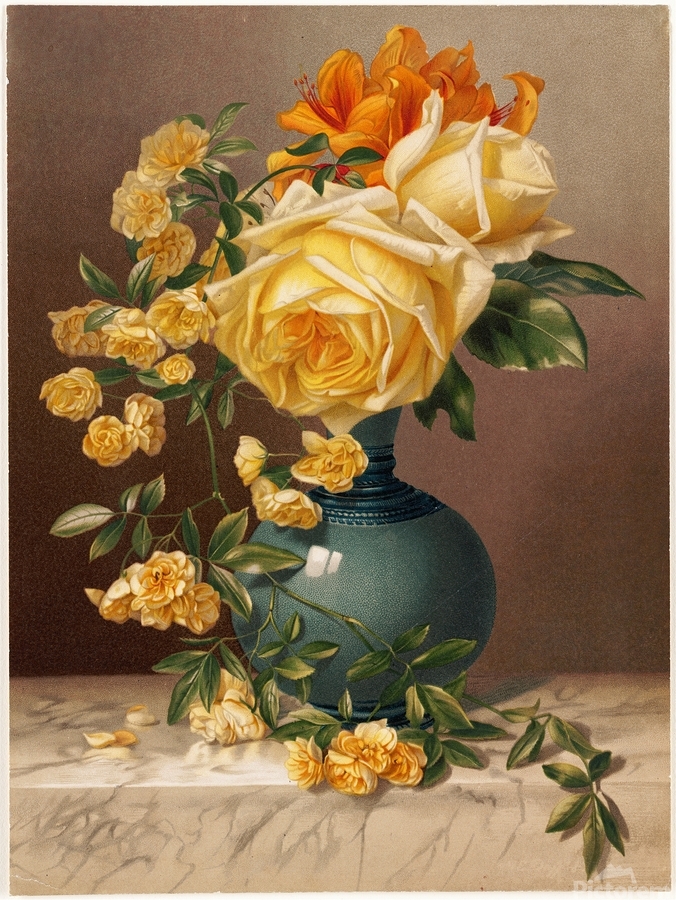 Marchal Niel Roses [1883] by William Duffield [1816–1863] by ...