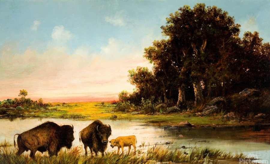 Buffalo by the River [1909] by Henry Herman Cross [1837–1918] by ...