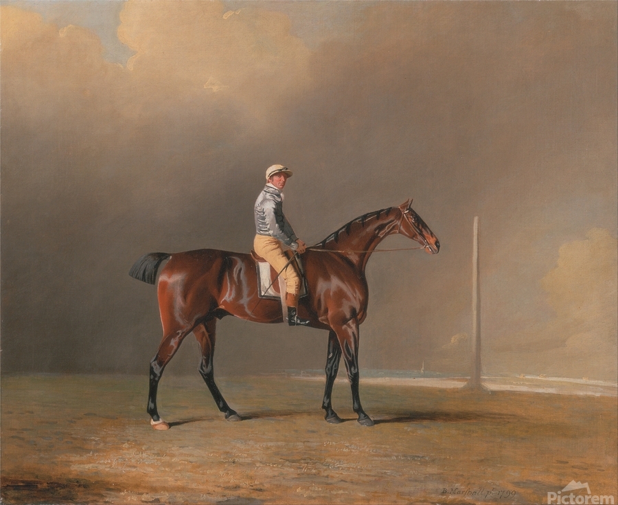 Diamond. With Dennis Fitzpatrick Up [1799] by Benjamin Marshall [1768 ...