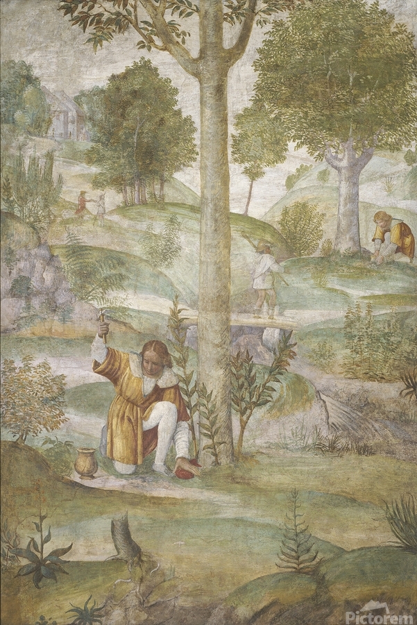 Cephalus Hiding the Jewels [c. 1520–1522] by Bernardino Luini [c. 1480 ...