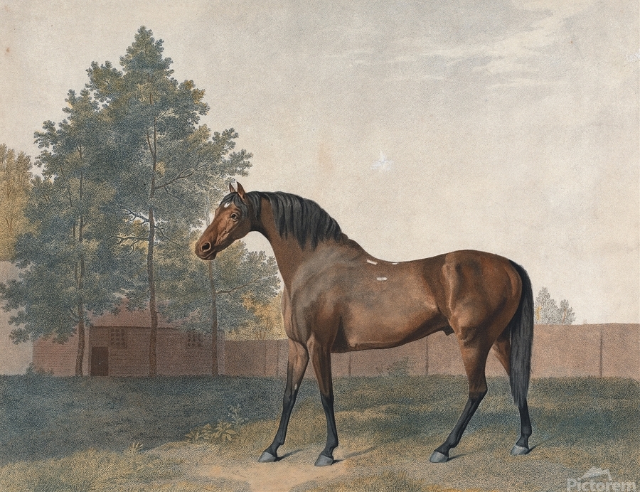 Anvil [1794] by George Stubbs [1724–1806] by MyCozyFineArt Wall Art