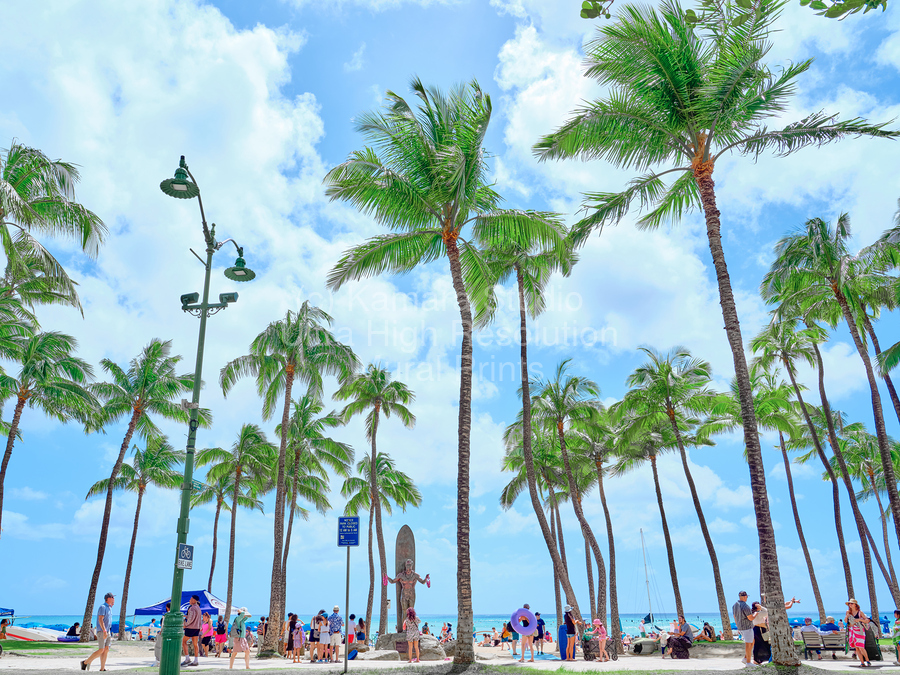 Hawaii Palms Duke Statue by Kamara Studio Ultra High Resolution Mural ...