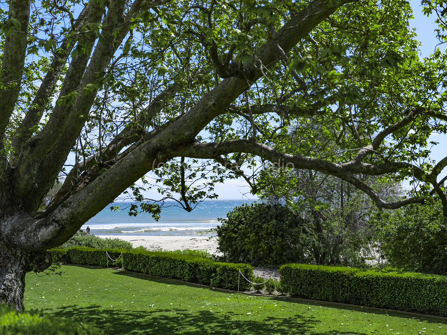 Beach Lawn by Kamara Studio Ultra High Resolution Mural Prints Wall Art