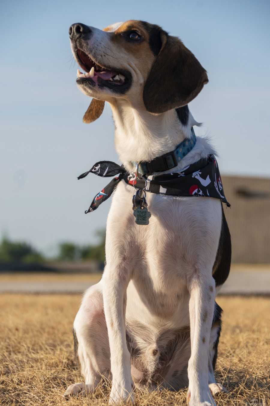 The Thinker by Mr Rivera Wall Art