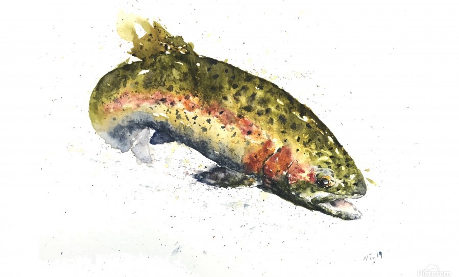 Rainbow Trout by Nicholas Terry Wall Art