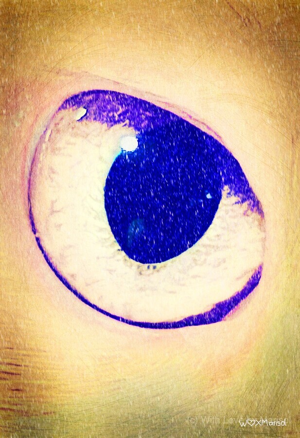 The Cosmic Eye by With Love by Marisol Wall Art