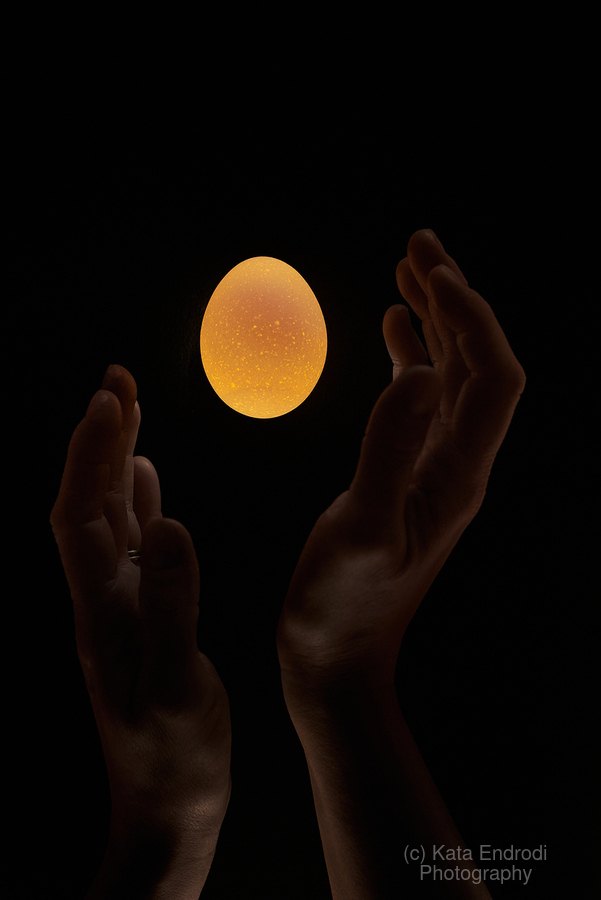 Egg moon by Kata Endrodi Photography Wall Art