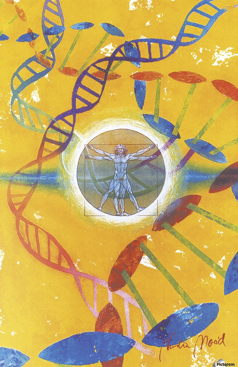 Codes of Life par Nushin Morid