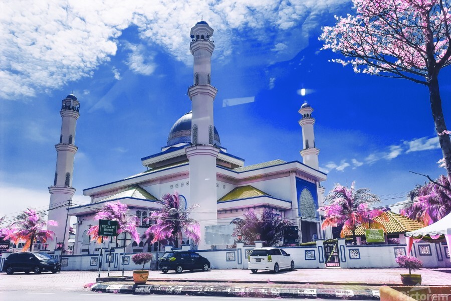 Amazing Mosques around the world 112 Infrared Purple by ASAR STUDIOS Wall Art