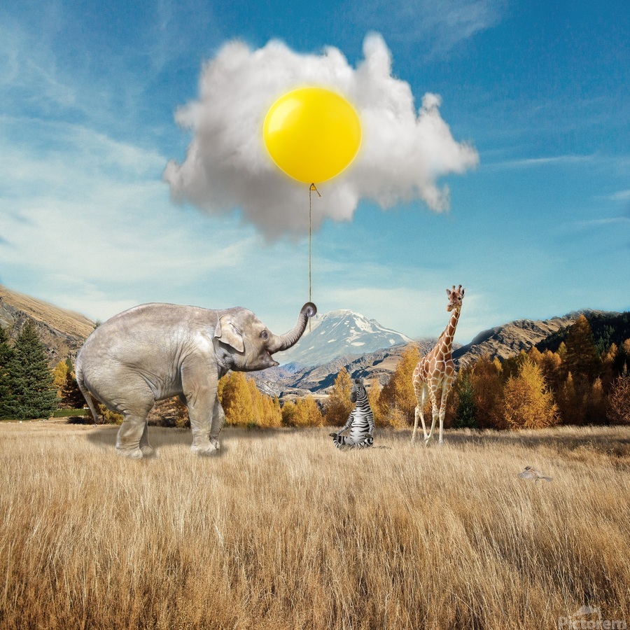 elephant giraffe balloon grass by Adriart Wall Art
