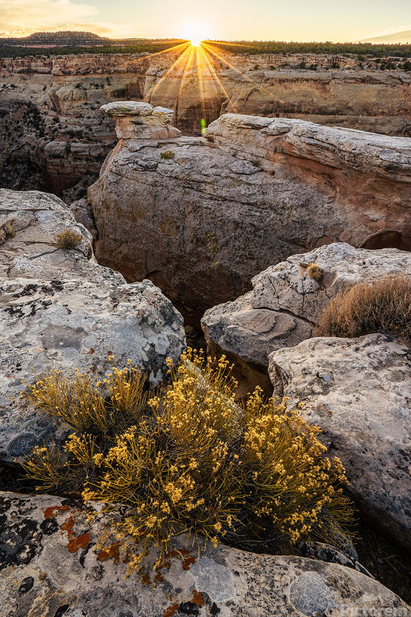 Sunset in Colorado National Monument by Kai Huang Wall Art