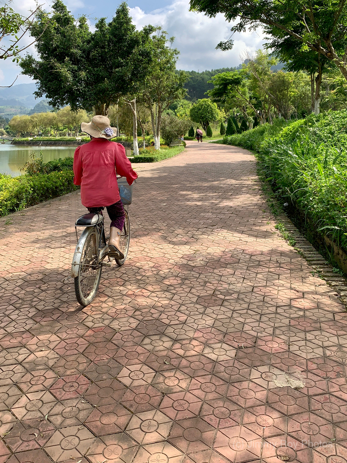 The Bike Path by Jimmy Roy Photos Wall Art