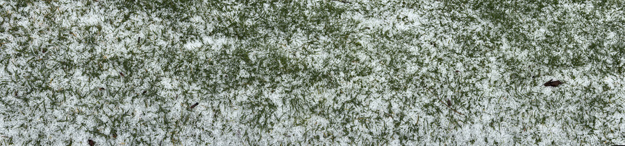 Hail on Grass by Aaron Pearlman Photography Wall Art