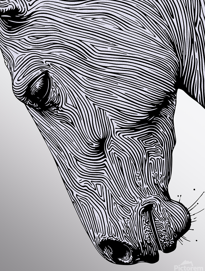 Flow of the Wild Minimalist Line Art Horse by Ramy Salah Hefny Wall Art