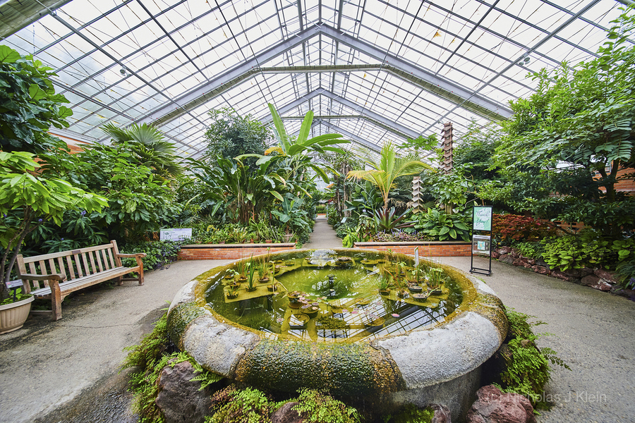 Tropical Greenhouse Oasis with Pond - Matthaei Botanical Gardens by ...