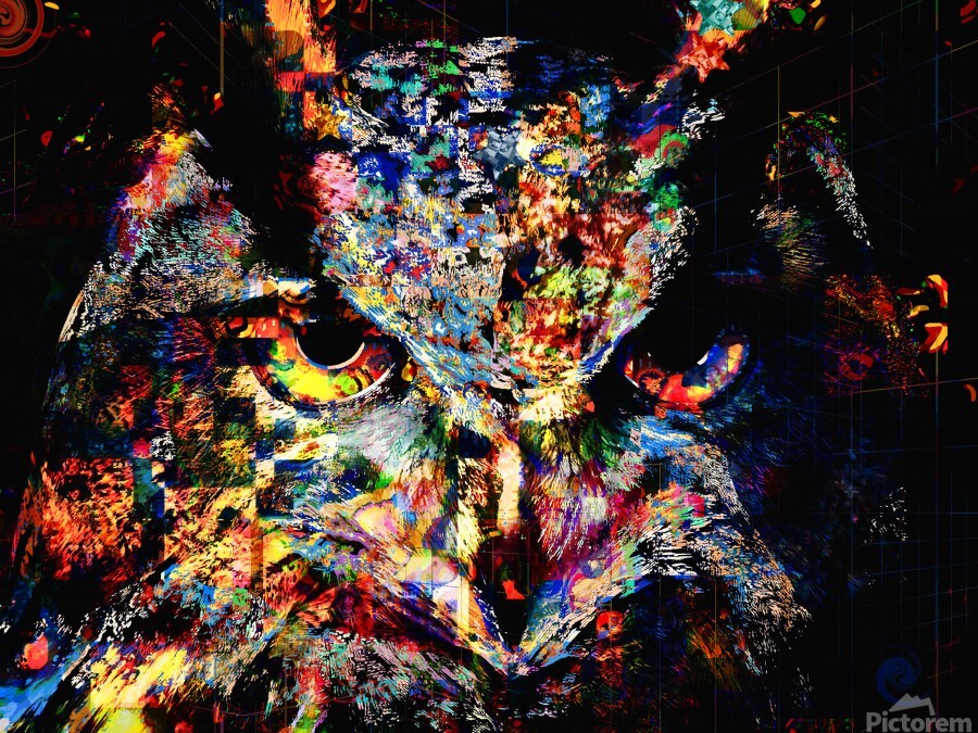 Owl by Jean-Francois Dupuis Wall Art