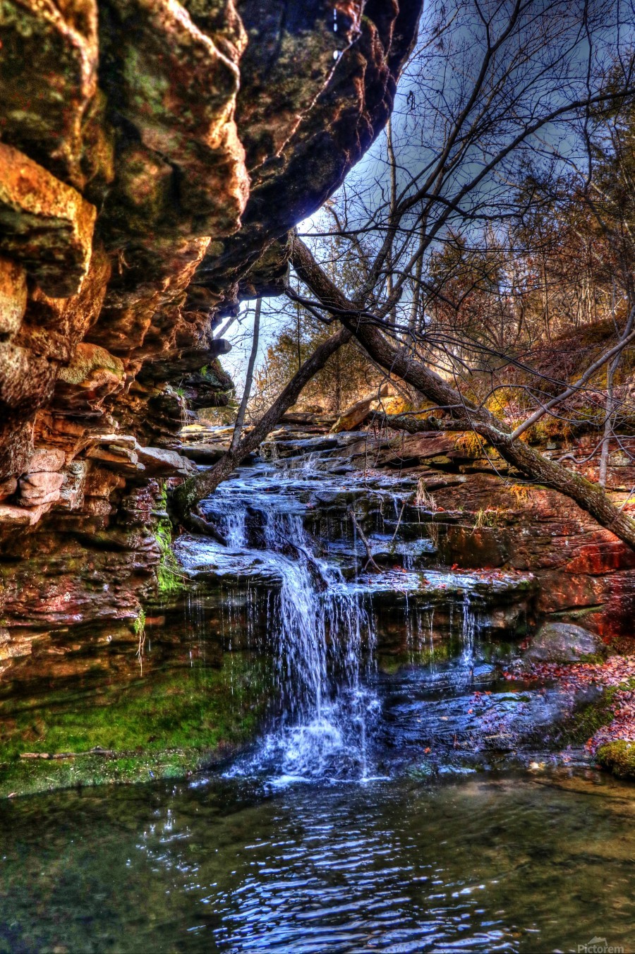 Fern Grotto Waterfall by Bob Vogt Wall Art