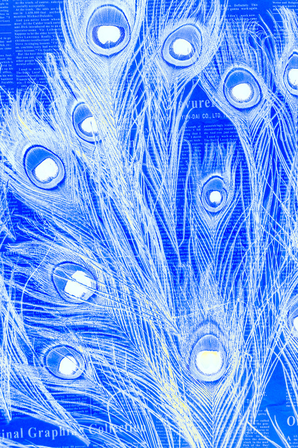 Feather and light by Jorgo Wall Art