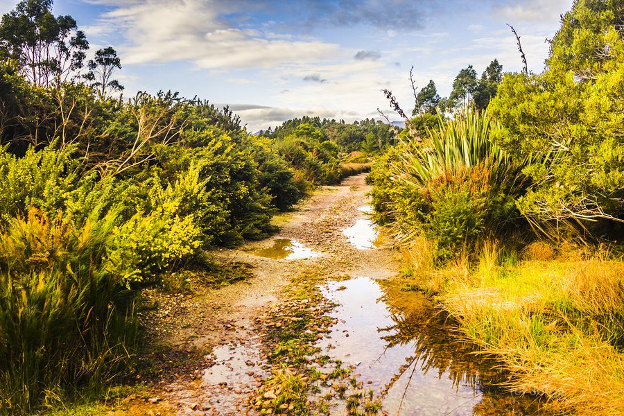 Puddles and outback tracks by Jorgo Wall Art