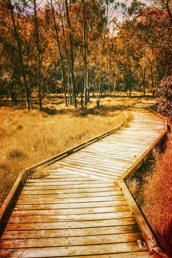 Path to autumn marshlands by Jorgo Wall Art