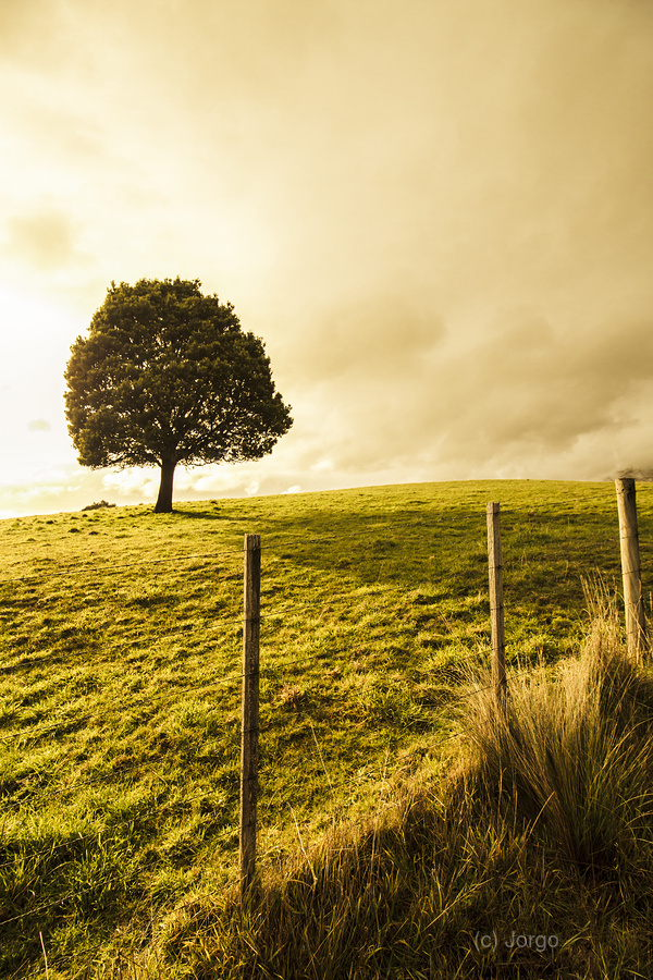 Ridgley hilltop by Jorgo Wall Art