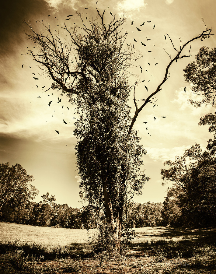 Mourning tree by Jorgo Wall Art