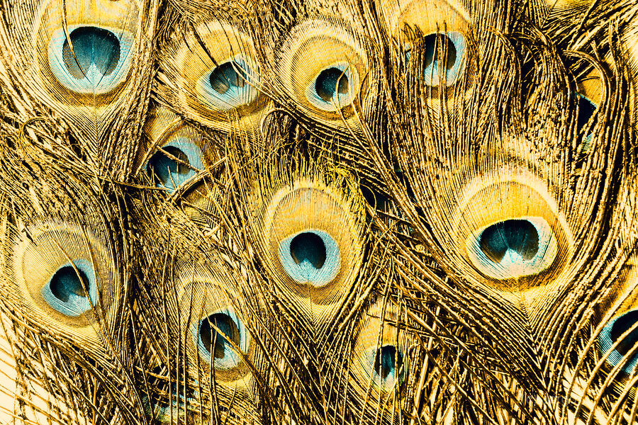 Spot colors by Jorgo Wall Art