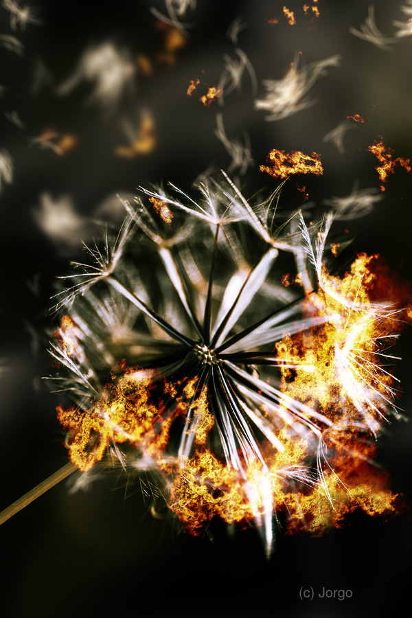 Splinters of finality by Jorgo Wall Art