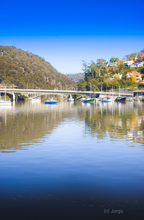 Launceston Harbour by Jorgo Wall Art
