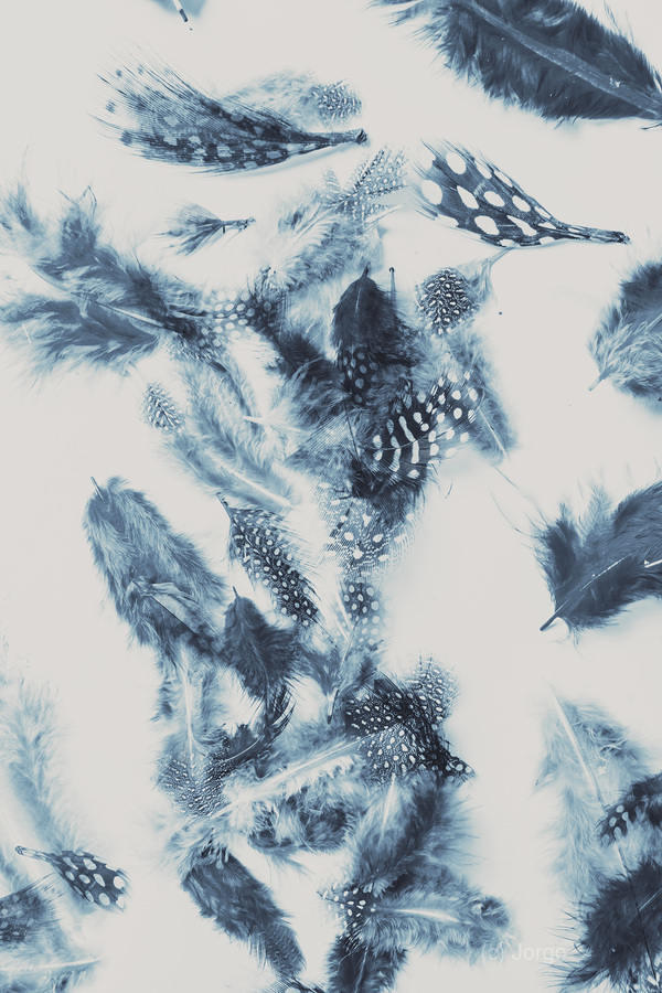 Vertigo blue by Jorgo Wall Art